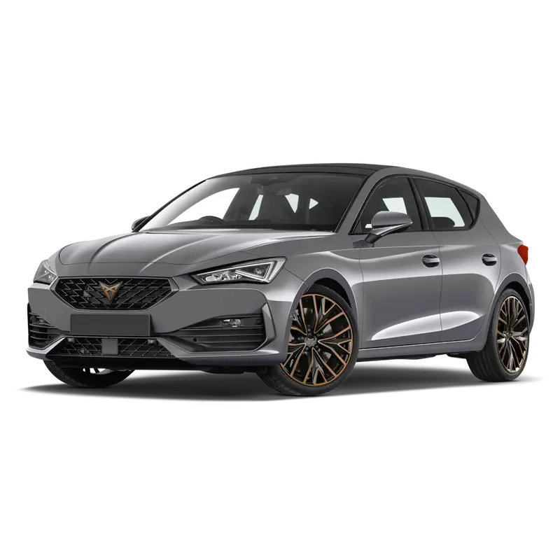 Leon Cupra 300 Leasing